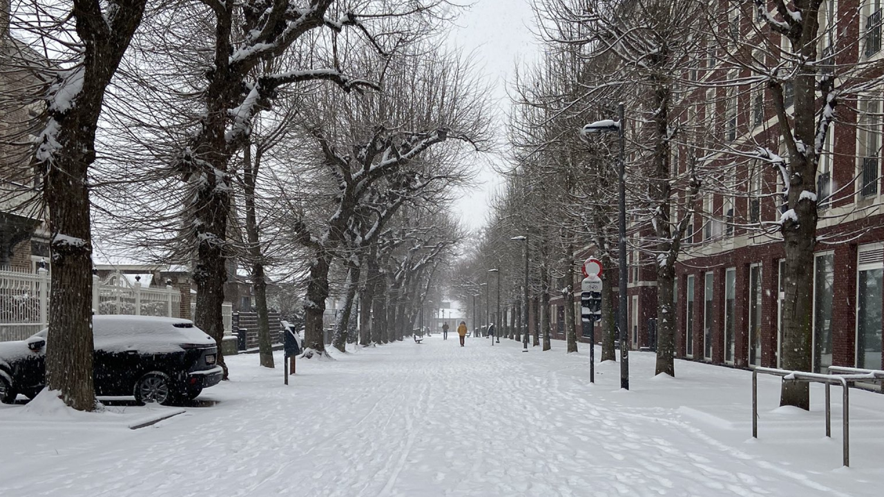 De 'sneeuwbom' in beeld: dit deel van Nederland ligt onder een dik pak sneeuw - InternetGekkies